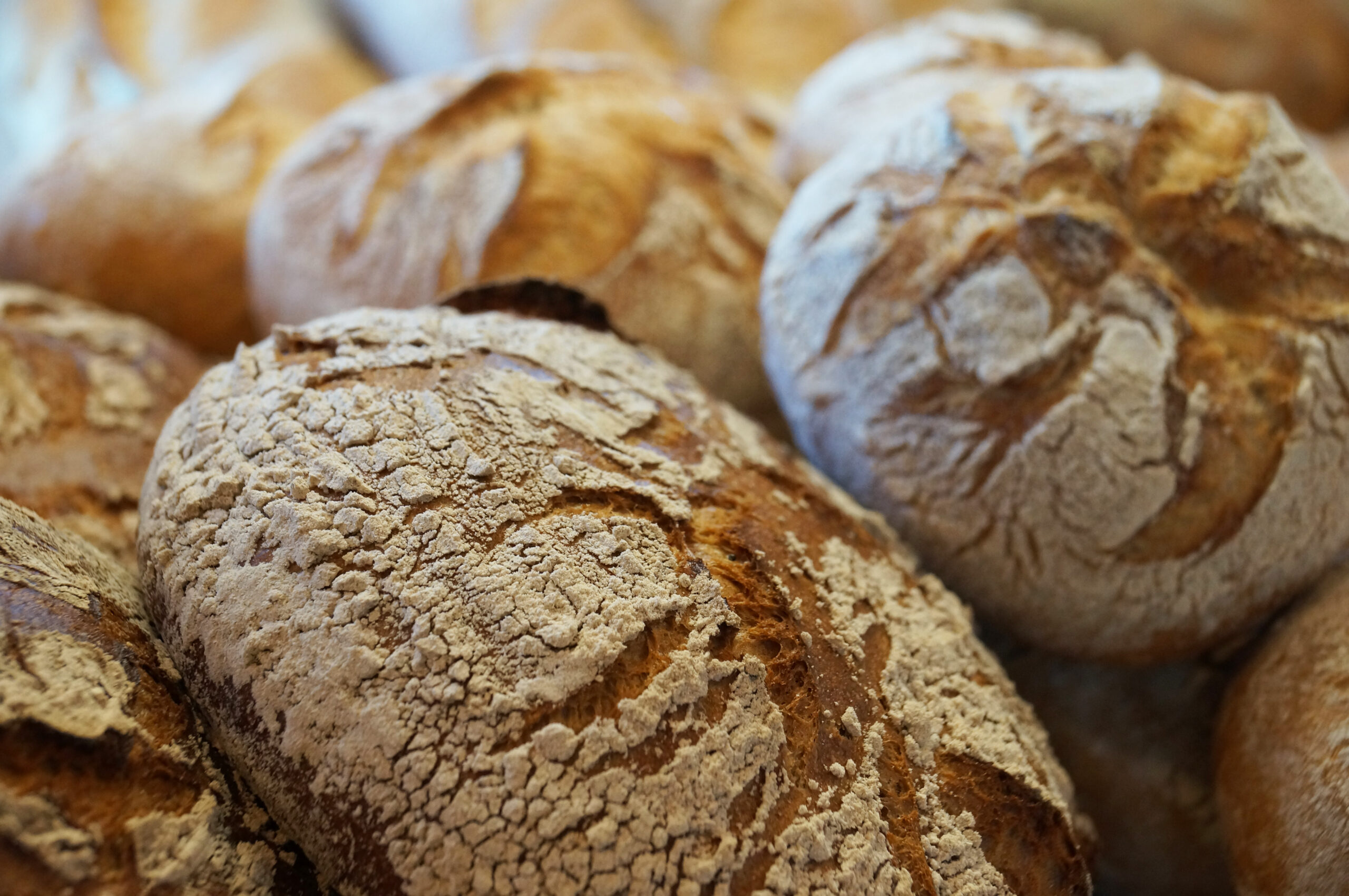 Mischbrot 50/50 | Rezepte zur Inspiration